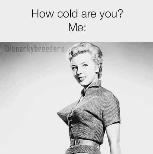 39 Funniest Cold Weather Memes For People Who Are One Shiver Away From ...