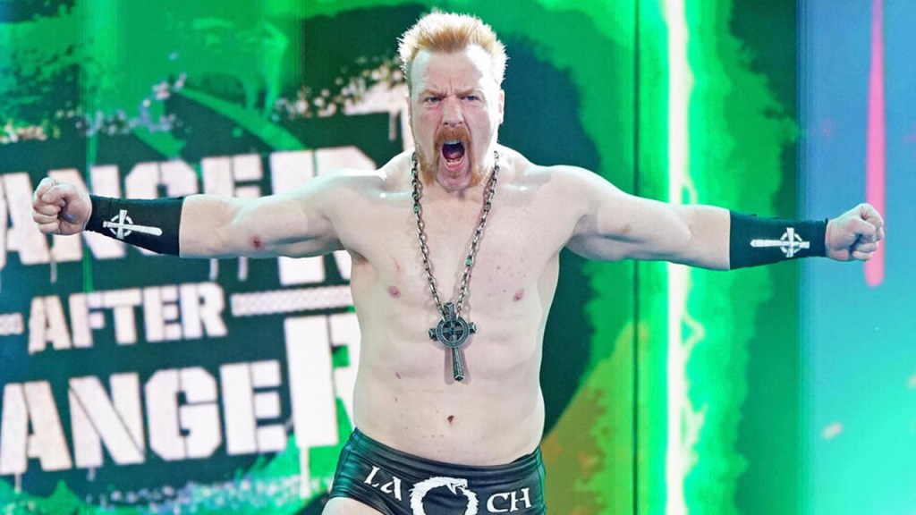 Sheamus Saves Woman From Getting Injured by Mob of Fans