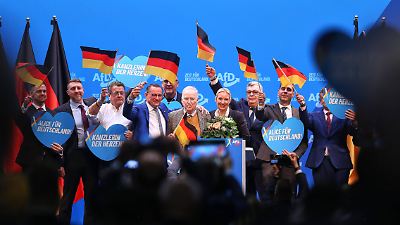 Arbeit am Wahlprogramm: AfD fordert lieber keinen "Dexit", aber ...