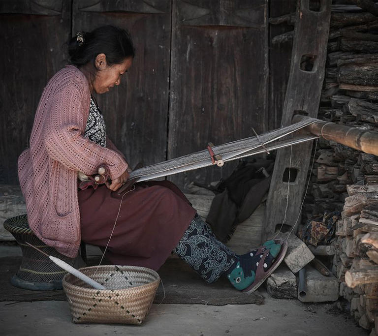 Rediscovering Bichu Buti, The Prickly Plant With Hidden Treasures