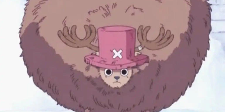 One Piece: A Complete Guide to All of Tony Tony Chopper's Forms