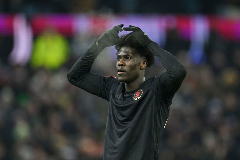 'I might allow' - Amadou Onana sends David Moyes warning and admits he ... 'I might allow' - Amadou Onana sends David Moyes warning and admits he ...