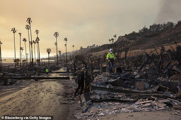 Untouched palm trees spark wild conspiracy theories over LA fires