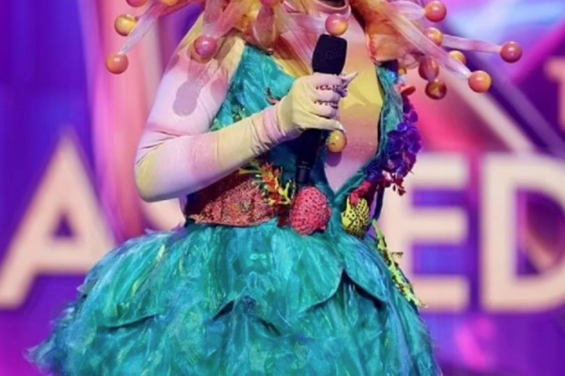 Macy Gray once 'refused' to exit Masked Singer stage - 'I'm keeping the ...