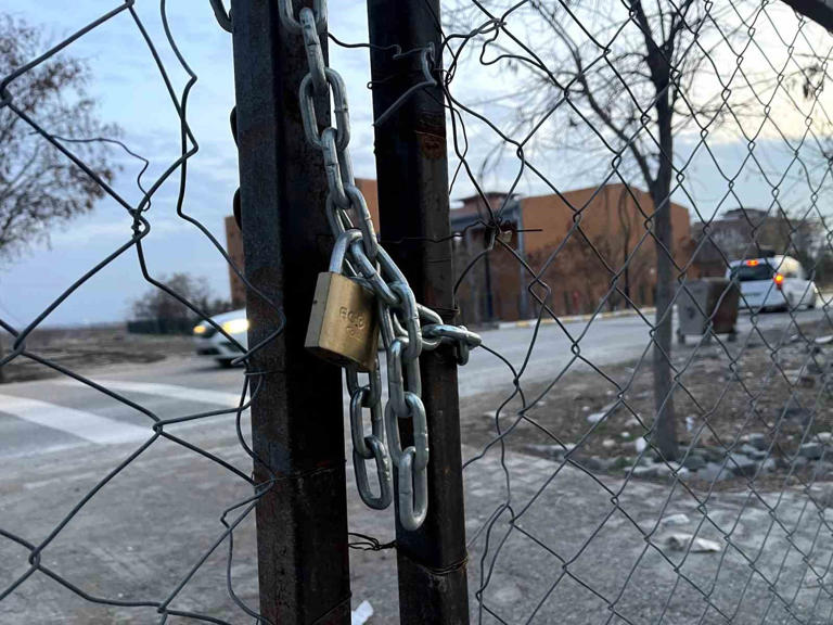 Almond, coconut, pasteurized cow’s whole milk: Which is the healthiest?