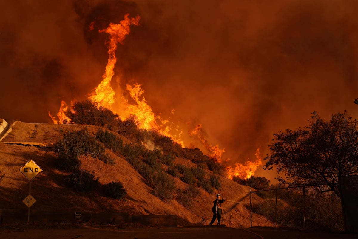 Satellite map shows every home destroyed in LA wildfires as apocalyptic ...
