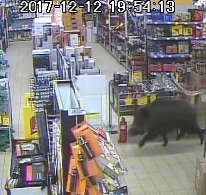 44 Cursed Images Are The Perfect Blend Of Funny And Unsettling