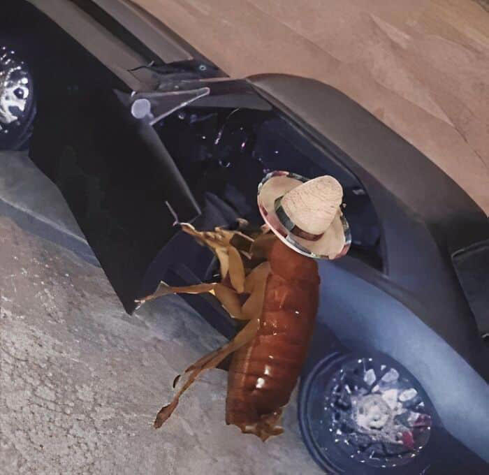 44 Cursed Images Are The Perfect Blend Of Funny And Unsettling