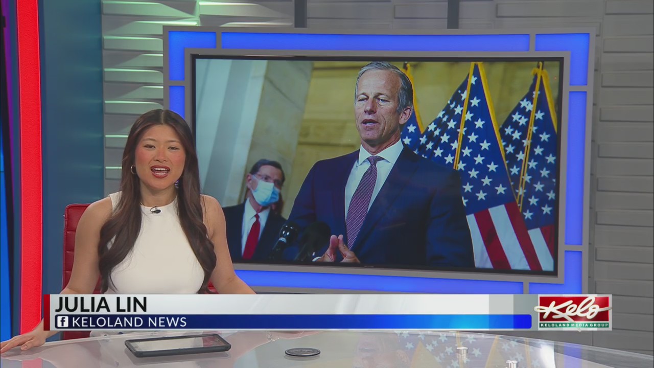 Thune on role as Senate Majority Leader