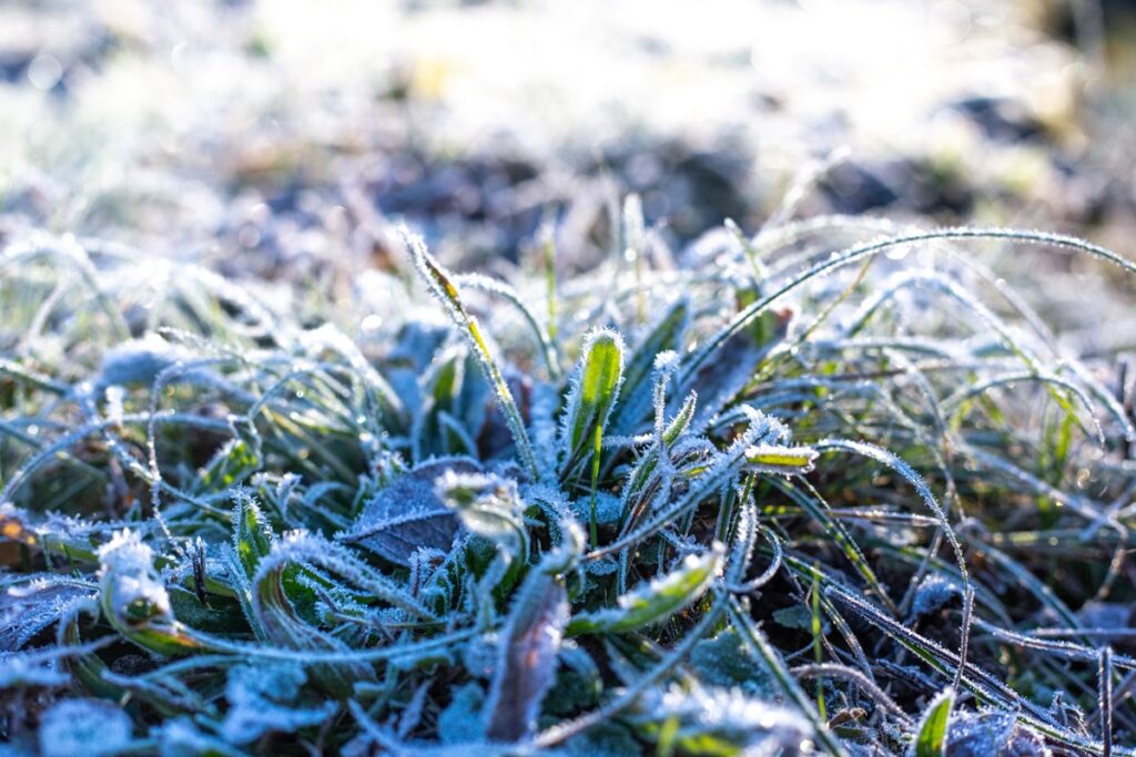 Froid persistant et brouillards matinaux en Maine-et-Loire