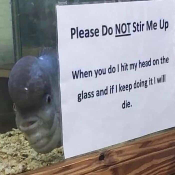 44 Cursed Images Are The Perfect Blend Of Funny And Unsettling