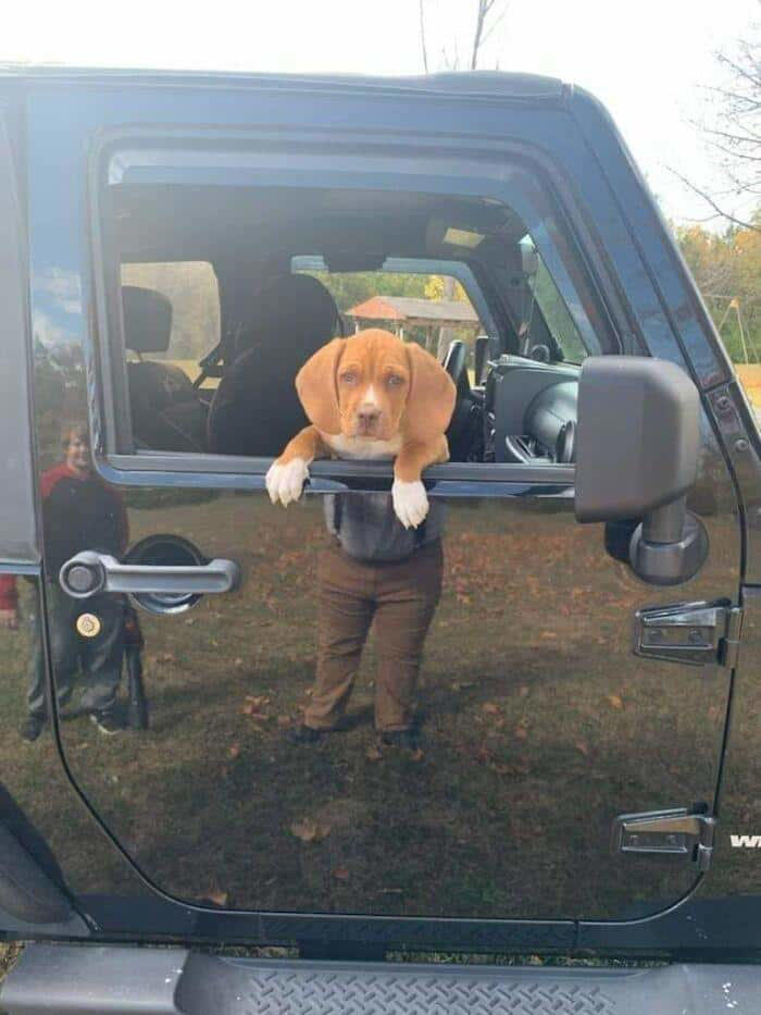 44 Cursed Images Are The Perfect Blend Of Funny And Unsettling