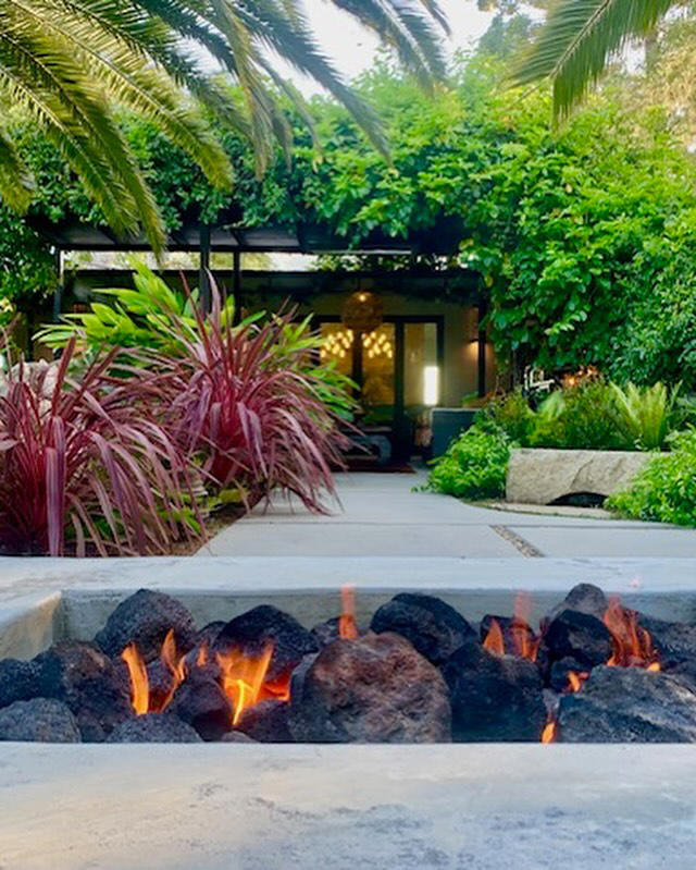 Medium Tyler Henry predicted Ricki Lake’s house would burn down 3 ...