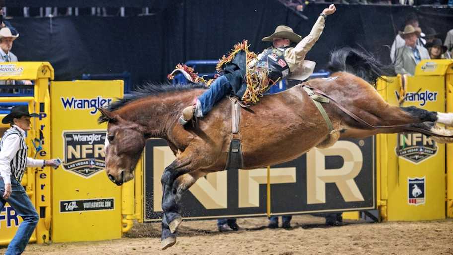 Who Made Victory Laps In Petco Park: San Diego Rodeo Round Two Recap