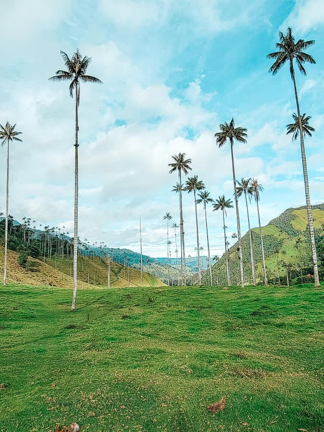 You’ve Seen It in Encanto—Now Hike the Real Colombian Valley With the ...
