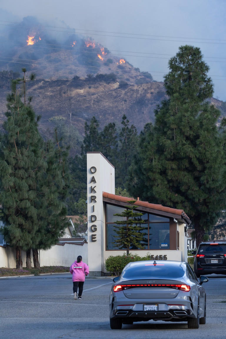 Hurst Fire may have been caused by damaged power line, says electrical ...