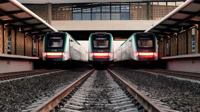Sedena loses 86 million pesos in lawsuit over the Maya Train due to ... Sedena loses 86 million pesos in lawsuit over the Maya Train due to ...