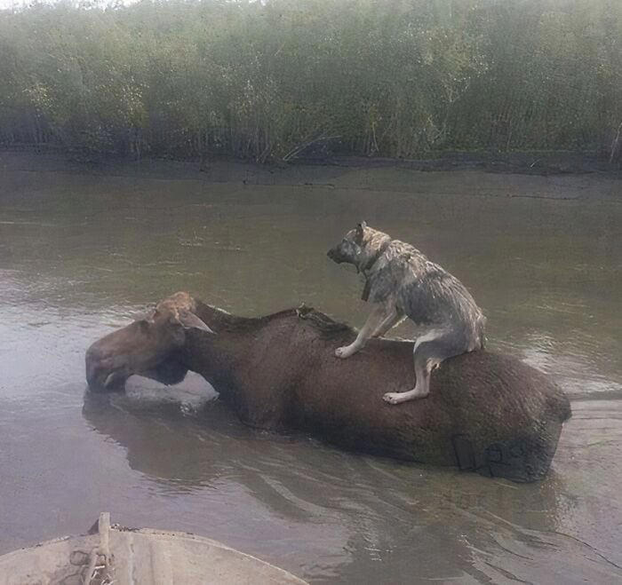 44 Cursed Images Are The Perfect Blend Of Funny And Unsettling