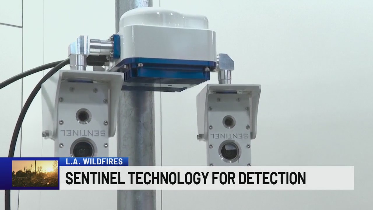 Sentinel technology for detection