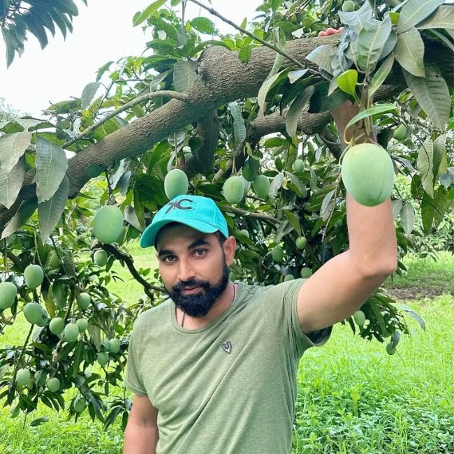 Inside photos of Mohammed Shami's luxurious and massive farmhouse, it ...