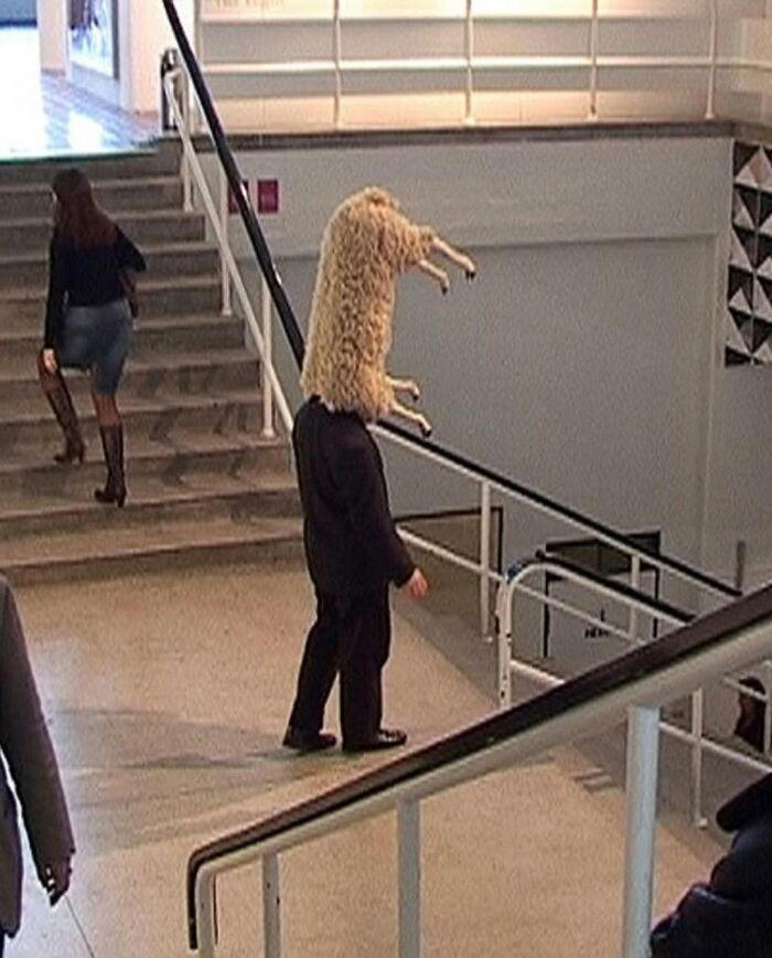 44 Cursed Images Are The Perfect Blend Of Funny And Unsettling