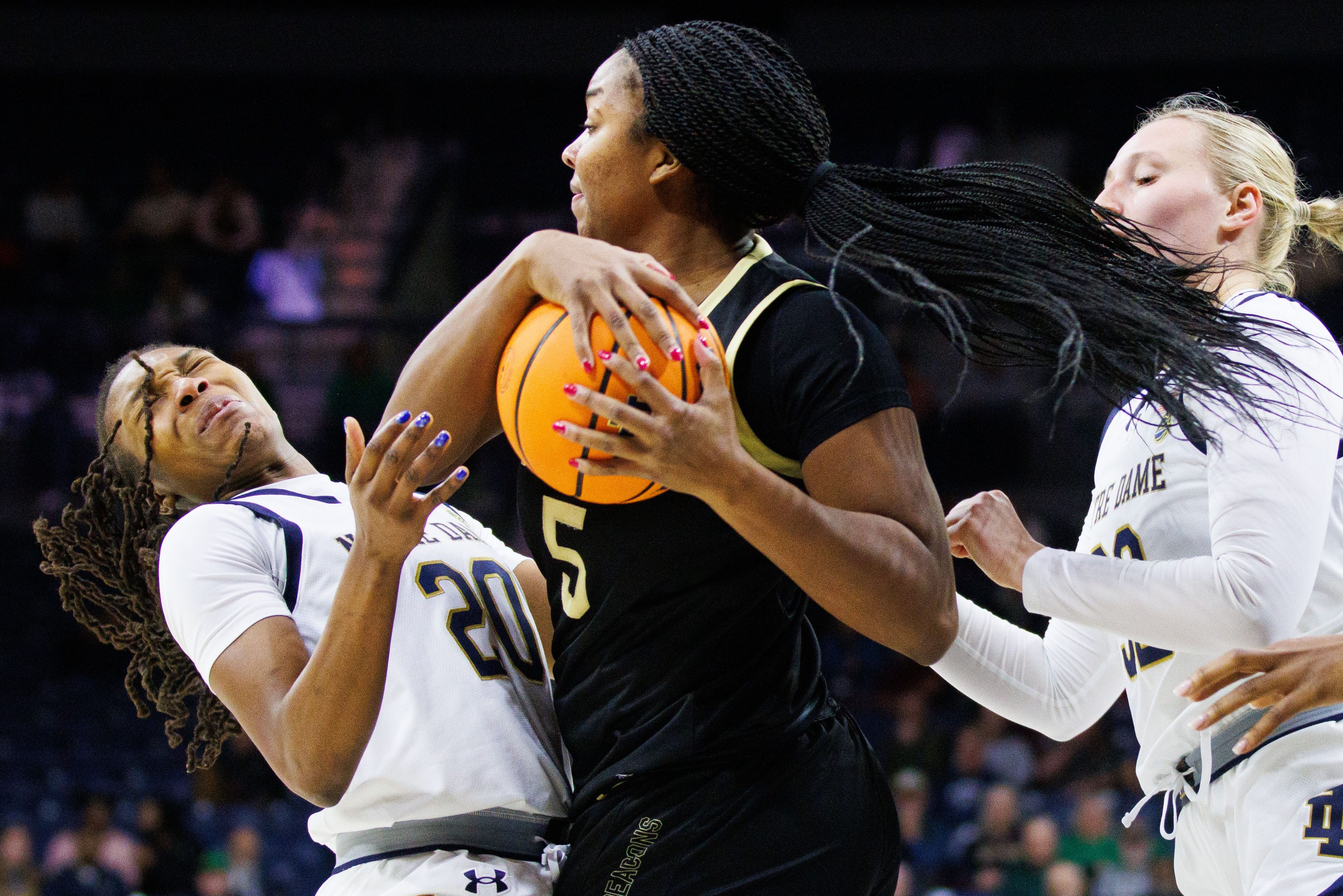 Notre Dame women's basketball acquires Wake Forest forward Malaya ...