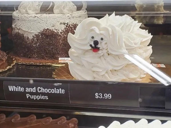 45 Funny And/Or Random Pictures For Your Daily Dose Of Randomness ...