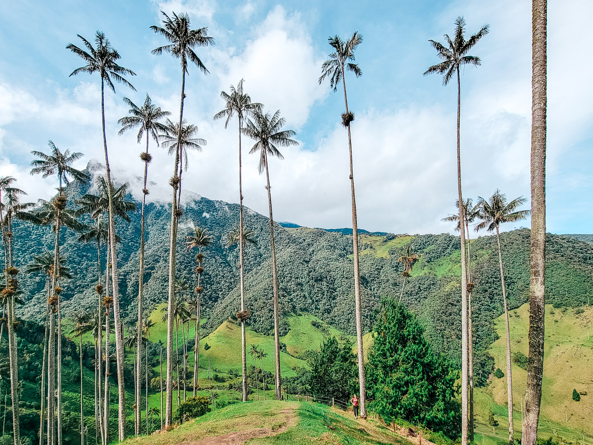 You’ve Seen It in Encanto—Now Hike the Real Colombian Valley With the ...