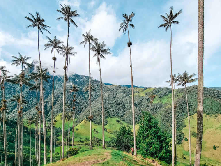 You’ve Seen It in Encanto—Now Hike the Real Colombian Valley With the ...