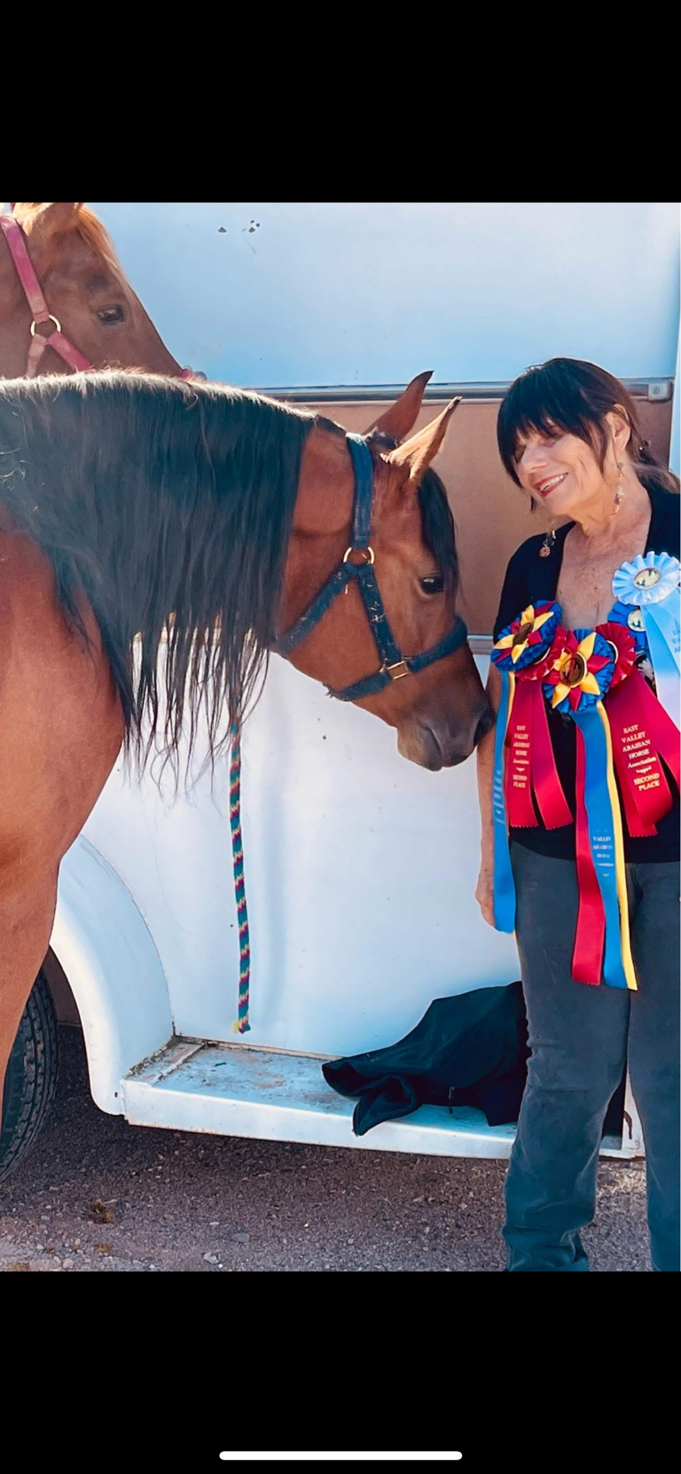 'Brutally attacked and stabbed': Phoenix flight attendant killed in ...