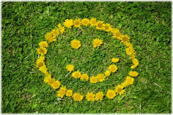 MSN Greece | Ειδήσεις και Νέα, Είσοδος σε Hotmail, Outlook, Skype