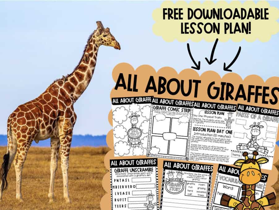 All About Giraffes: A 5-Day Lesson Plan