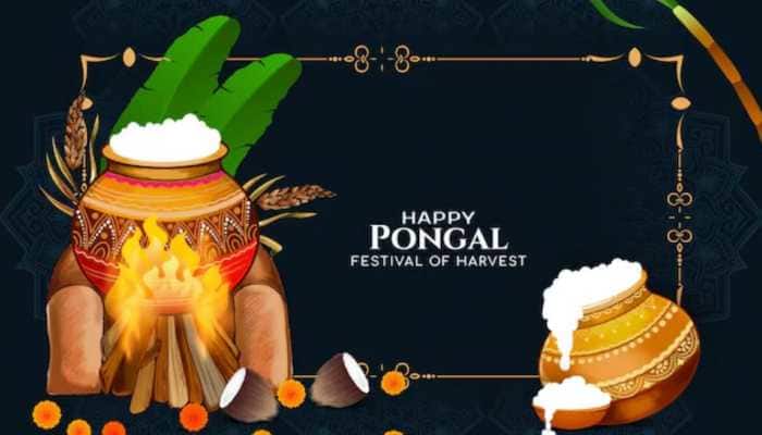 Happy Pongal 2025: Best Wishes, Messages And Images To Share With ...