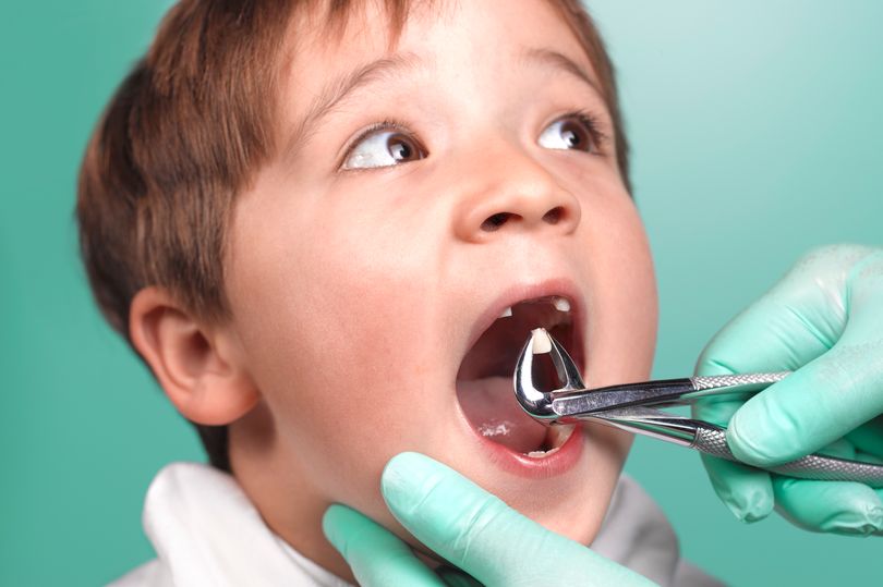 Tim Spector says children's jaws and teeth changing due to one food