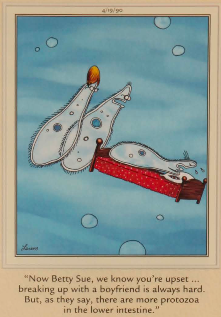 10 Best The Far Side Comics Featuring Amoebas, Ranked