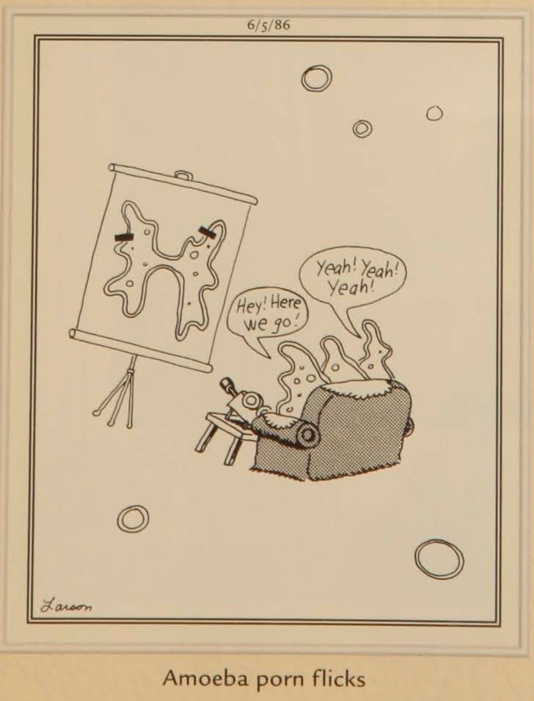 10 Best The Far Side Comics Featuring Amoebas, Ranked