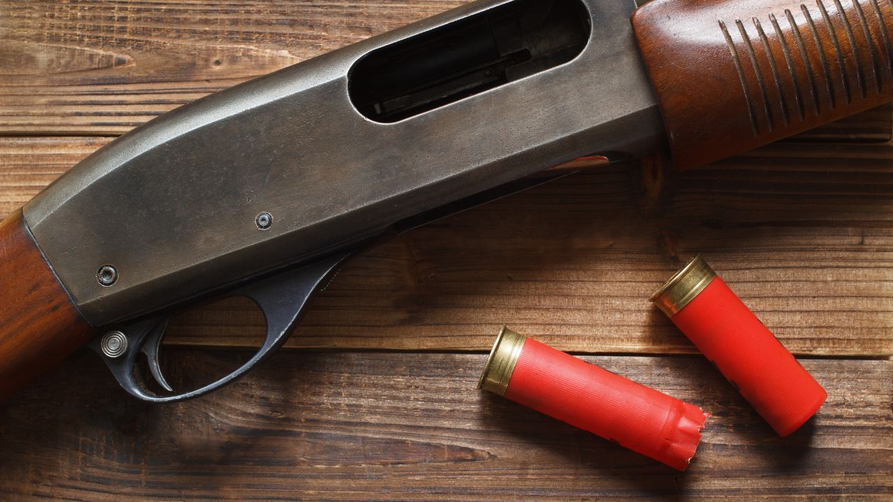 Top Ammo Picks for Your Home Defense Shotguns for Power, Precision ...