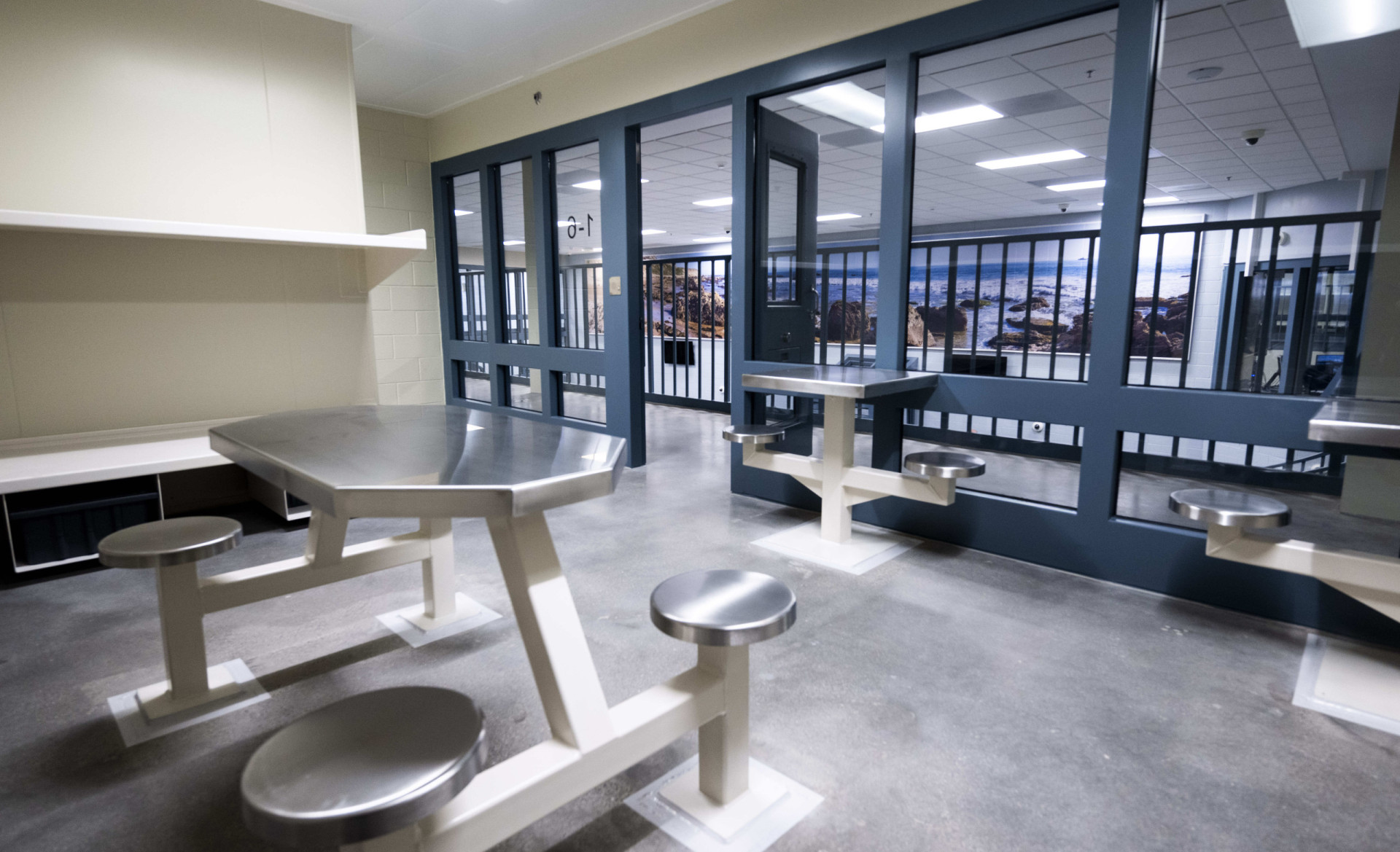 Verhaftete Schönheiten, die die Welt in ihren Bann zogen