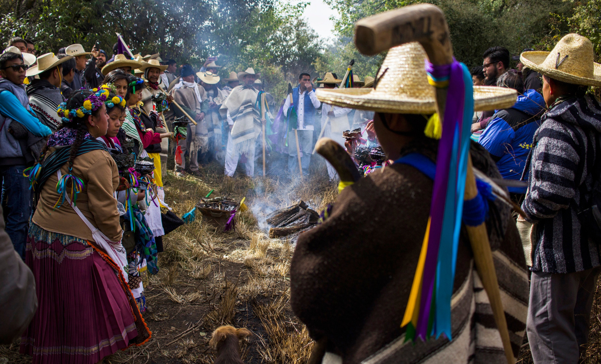 Wildfires: What we can learn from indigenous fire practice