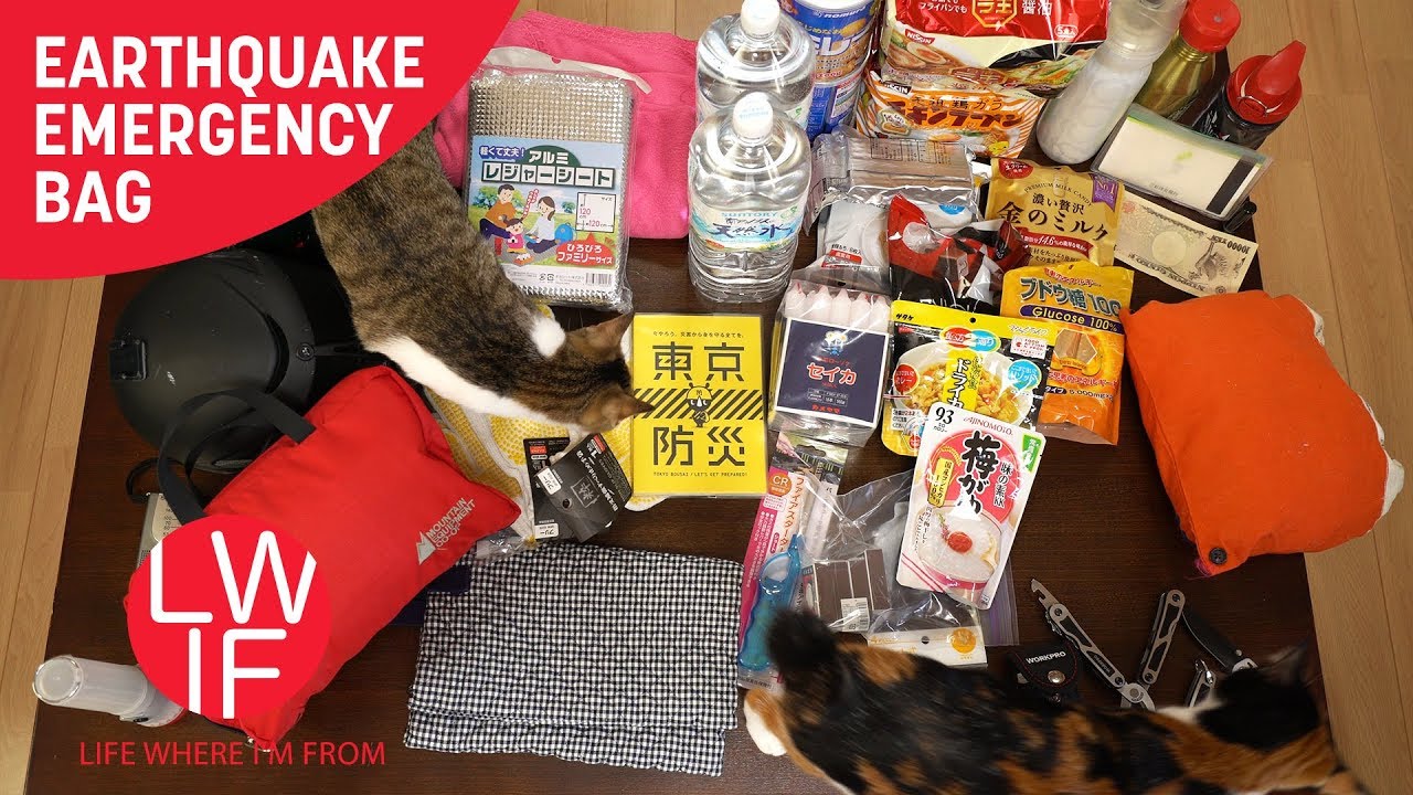 Our Japanese earthquake emergency bag