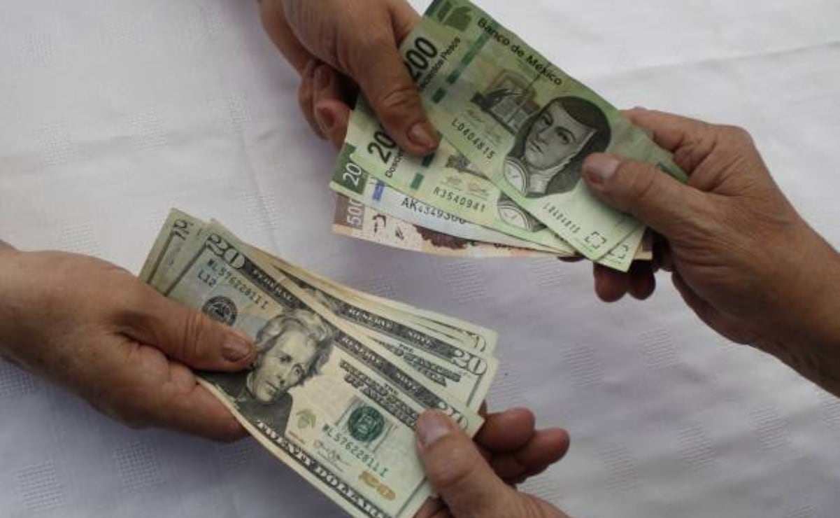 El dólar abre mayo estable en 19.62 pesos al mayoreo; el tipo de cambio ...