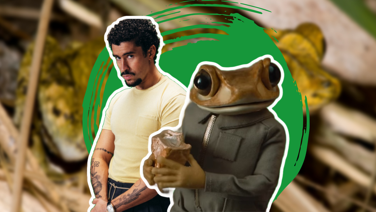 Meet Sapo Concho: The Endangered Toad Getting a Glow-Up in Bad Bunny’s ...