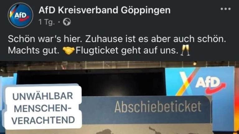 AfD schockt mit "Abschiebetickets": Jetzt kopiert sie die NPD