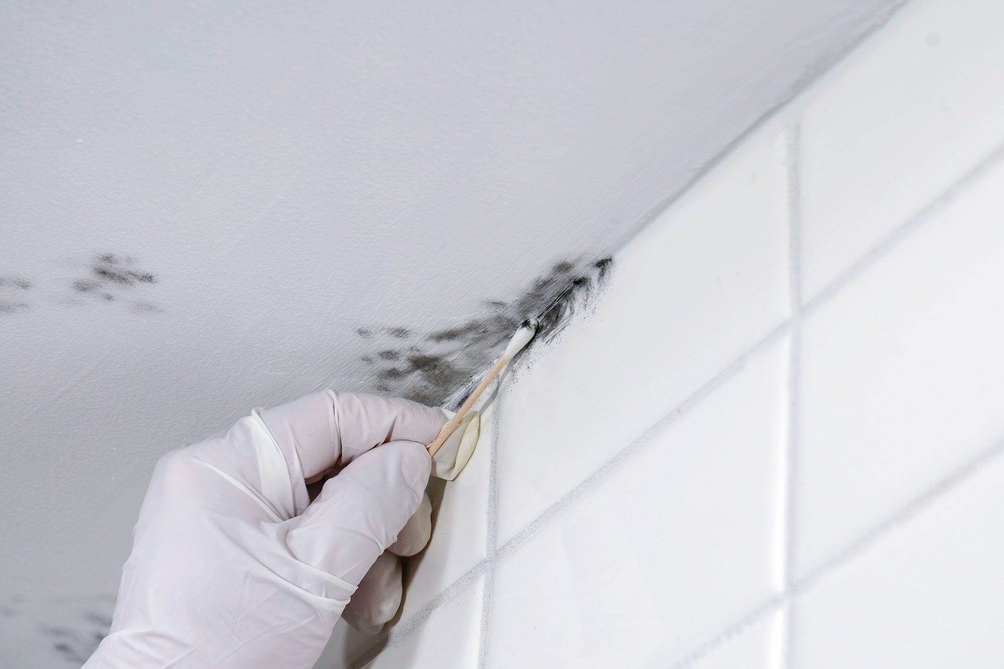 How To Test for Mold in Your House