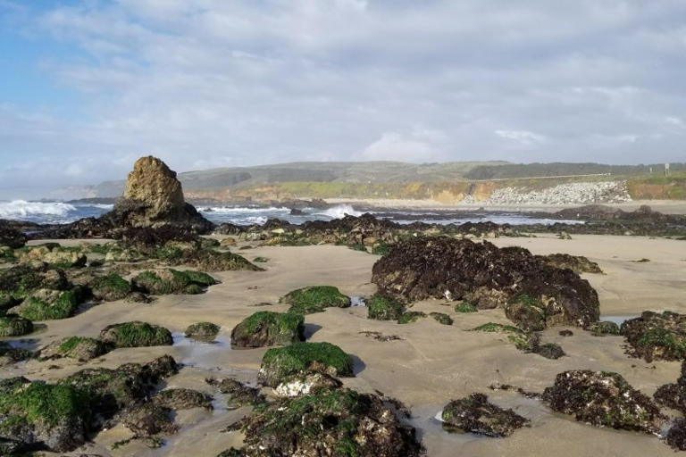 Governor Abbott order flags to 'full staff' ahead of Monday's inauguration