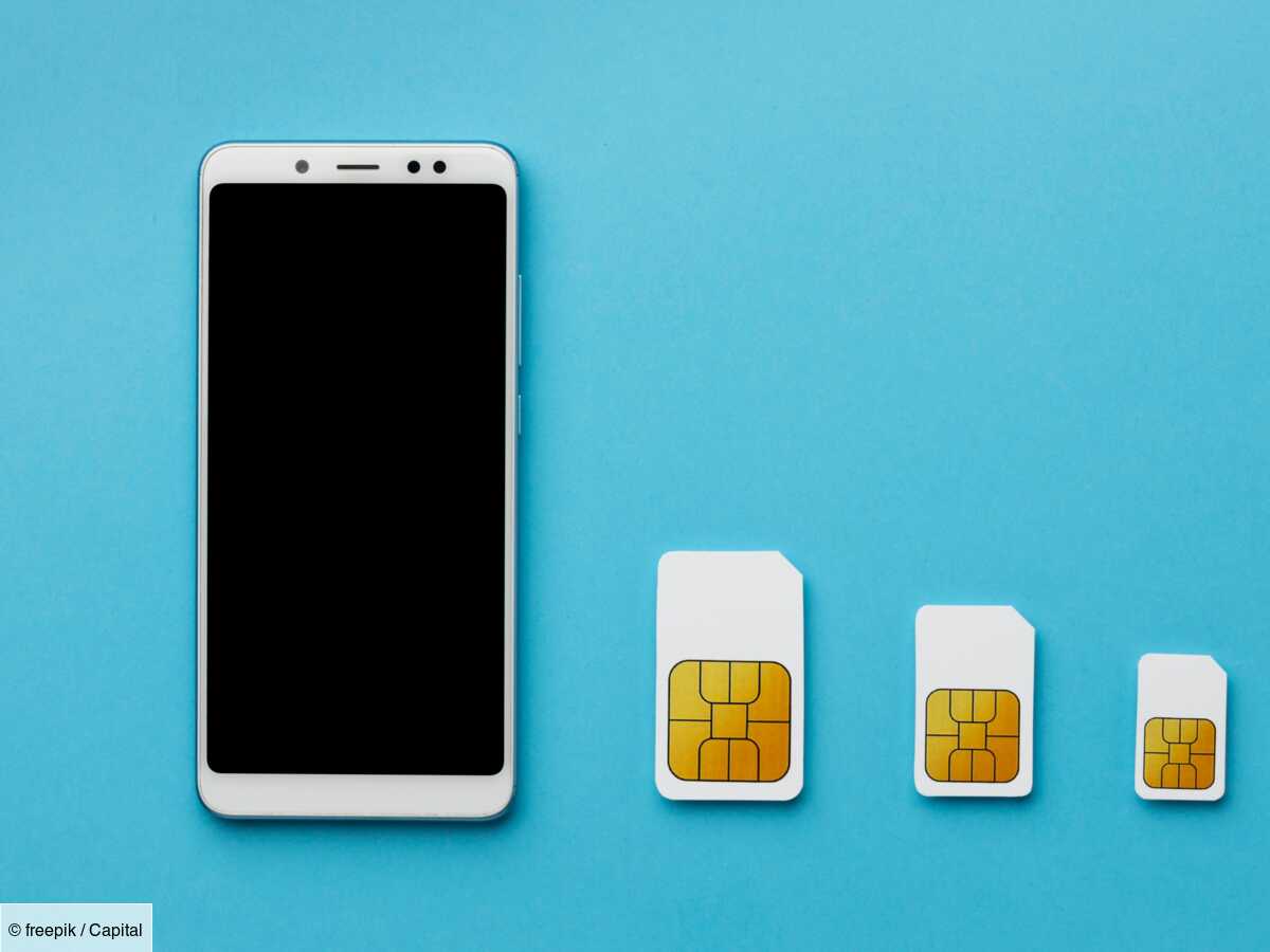Mini SIM, Micro SIM, Nano SIM : voici quelle carte choisir pour votre ...