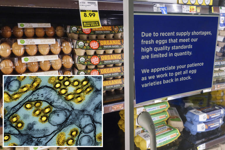 Egg inflation surges 8.5% in December as bird flu, high demand strain ...