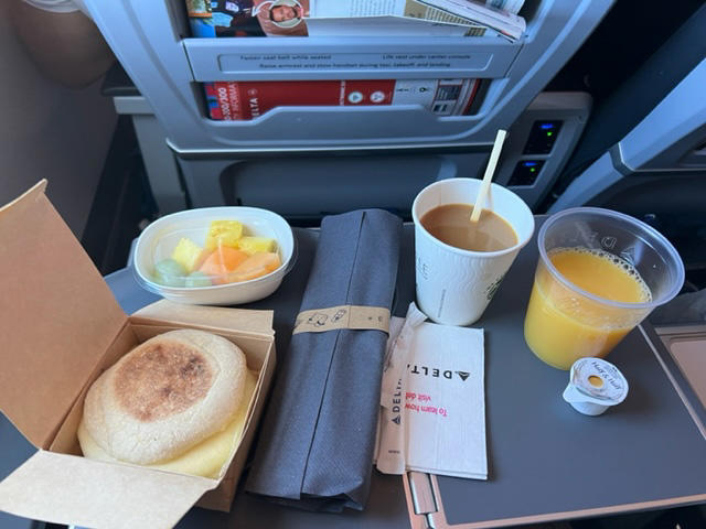 I Flew Delta Premium Economy—Here’s What You Really Get