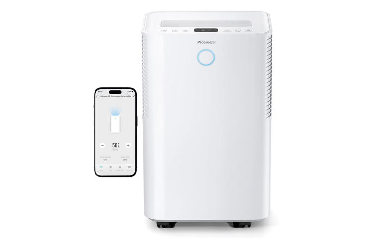 Best energy efficient dehumidifiers to prevent mould