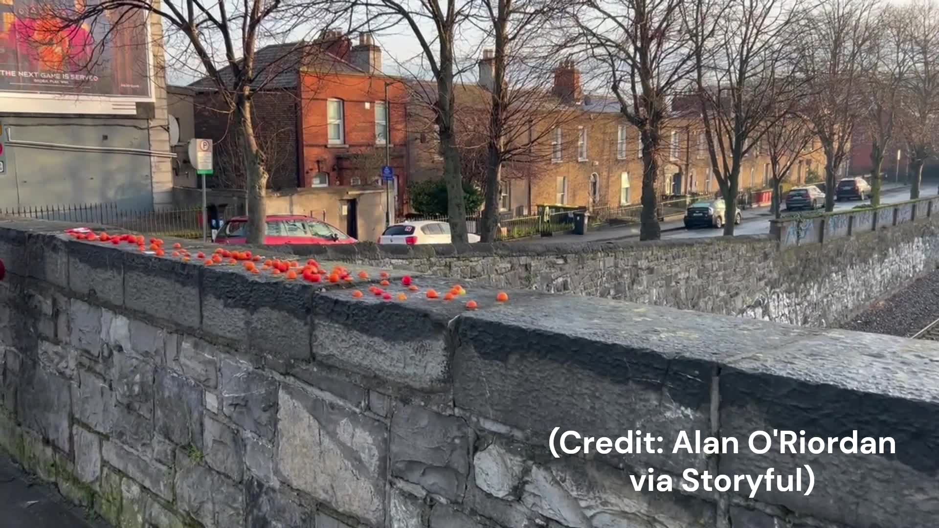 TikTok trend turns ‘Cherry Tomato Bridge’ into Ireland's newest ...